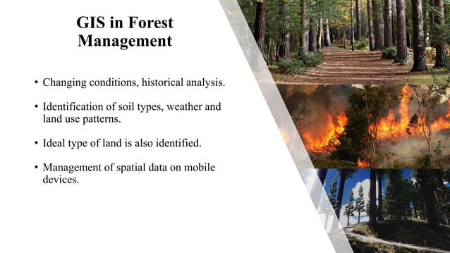 GIS & Conservation | PDF