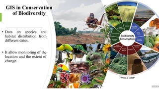 GIS & Conservation | PDF