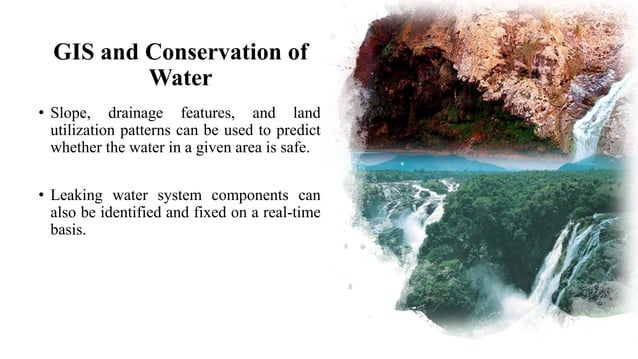 GIS & Conservation | PDF