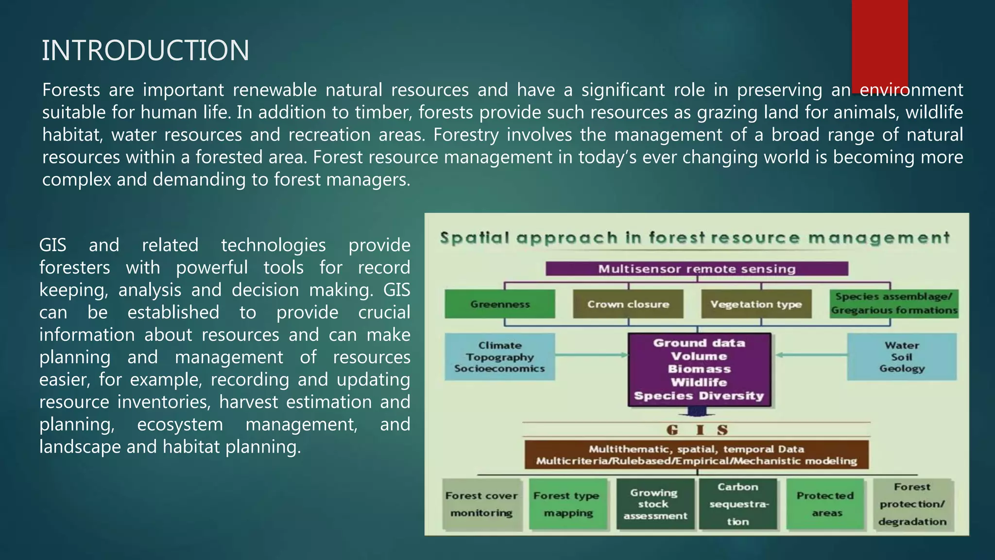 Gis application on forest management | PPTX