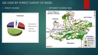Gis application on forest management | PPTX