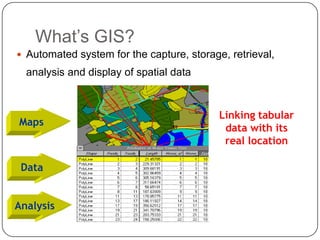 GIS & Raster | PPTX