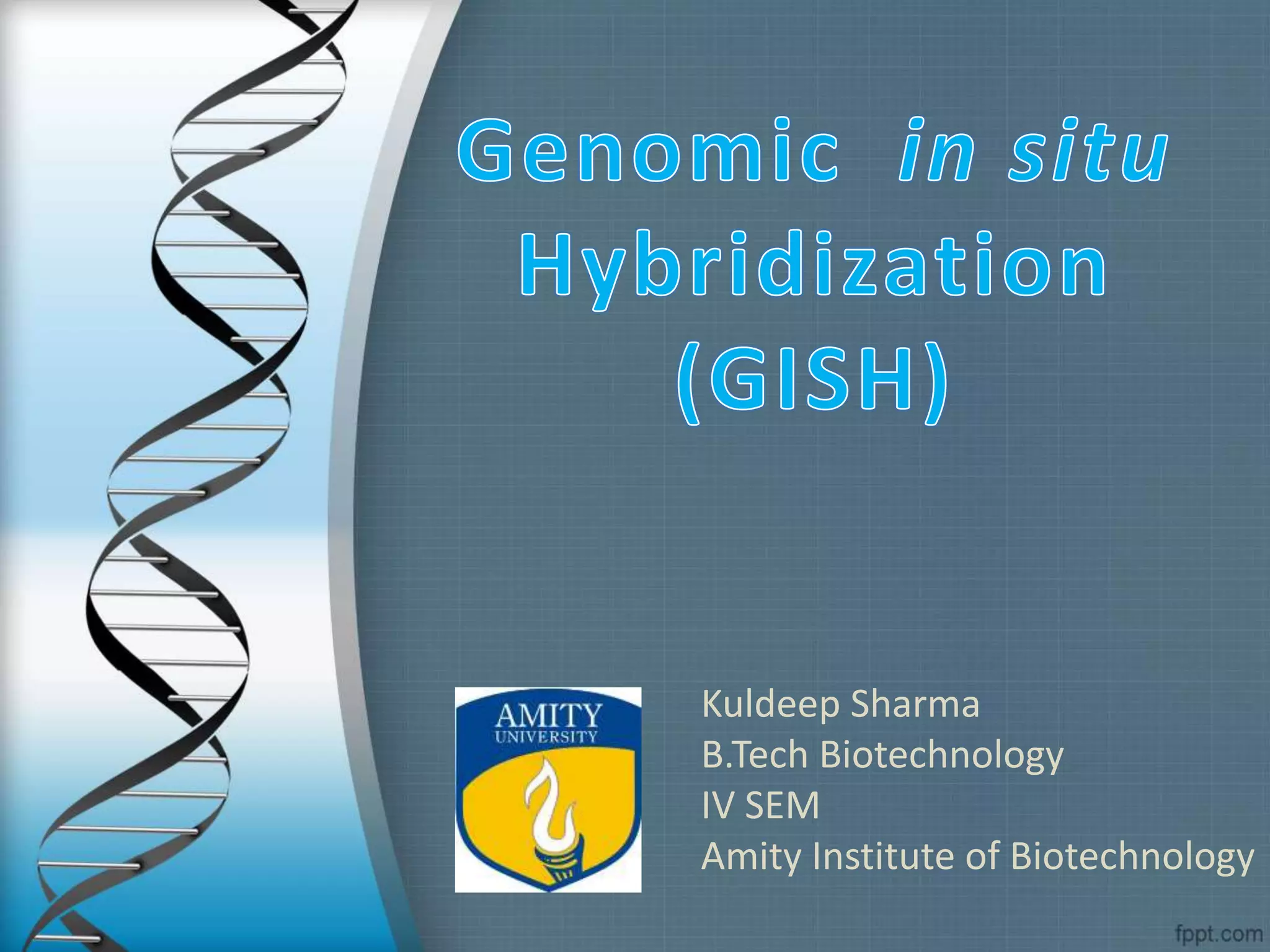 Genomic in situ Hybridization | PPTX