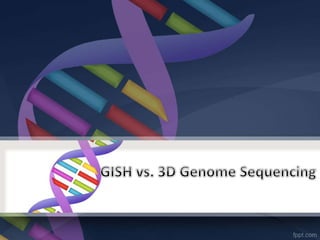 Genomic in situ Hybridization | PPTX