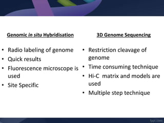 Genomic in situ Hybridization | PPTX