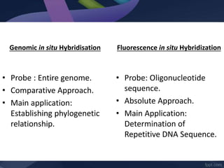 Genomic in situ Hybridization | PPTX