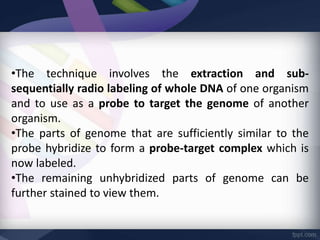 Genomic in situ Hybridization | PPTX