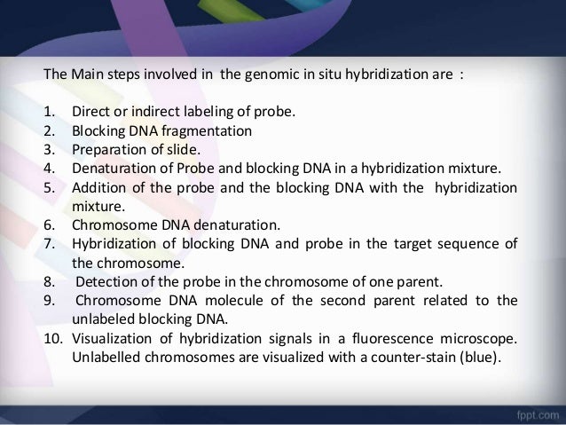 Genomic in situ Hybridization