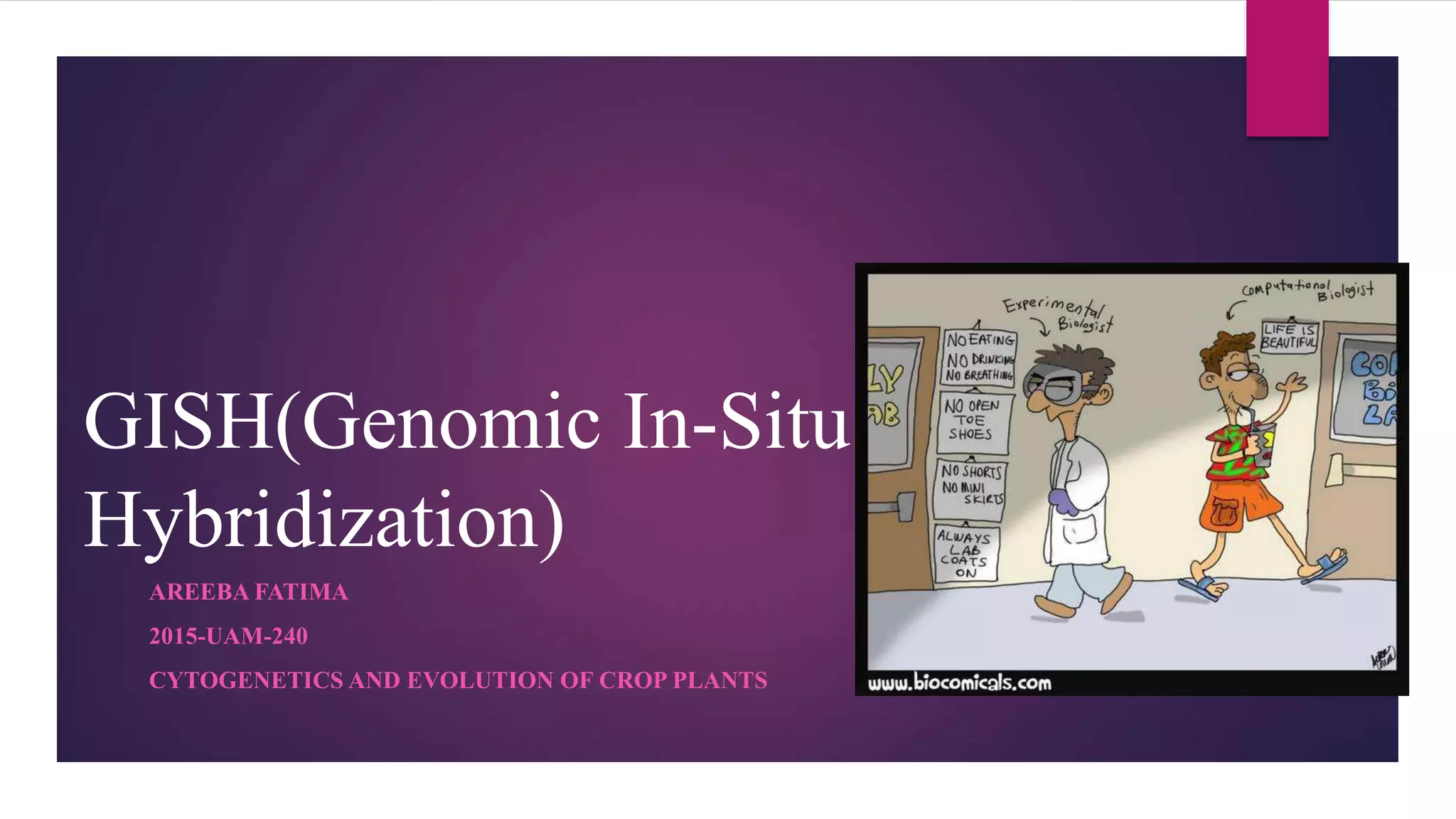 Genomic in-situ hybridization (GISH) | PPTX