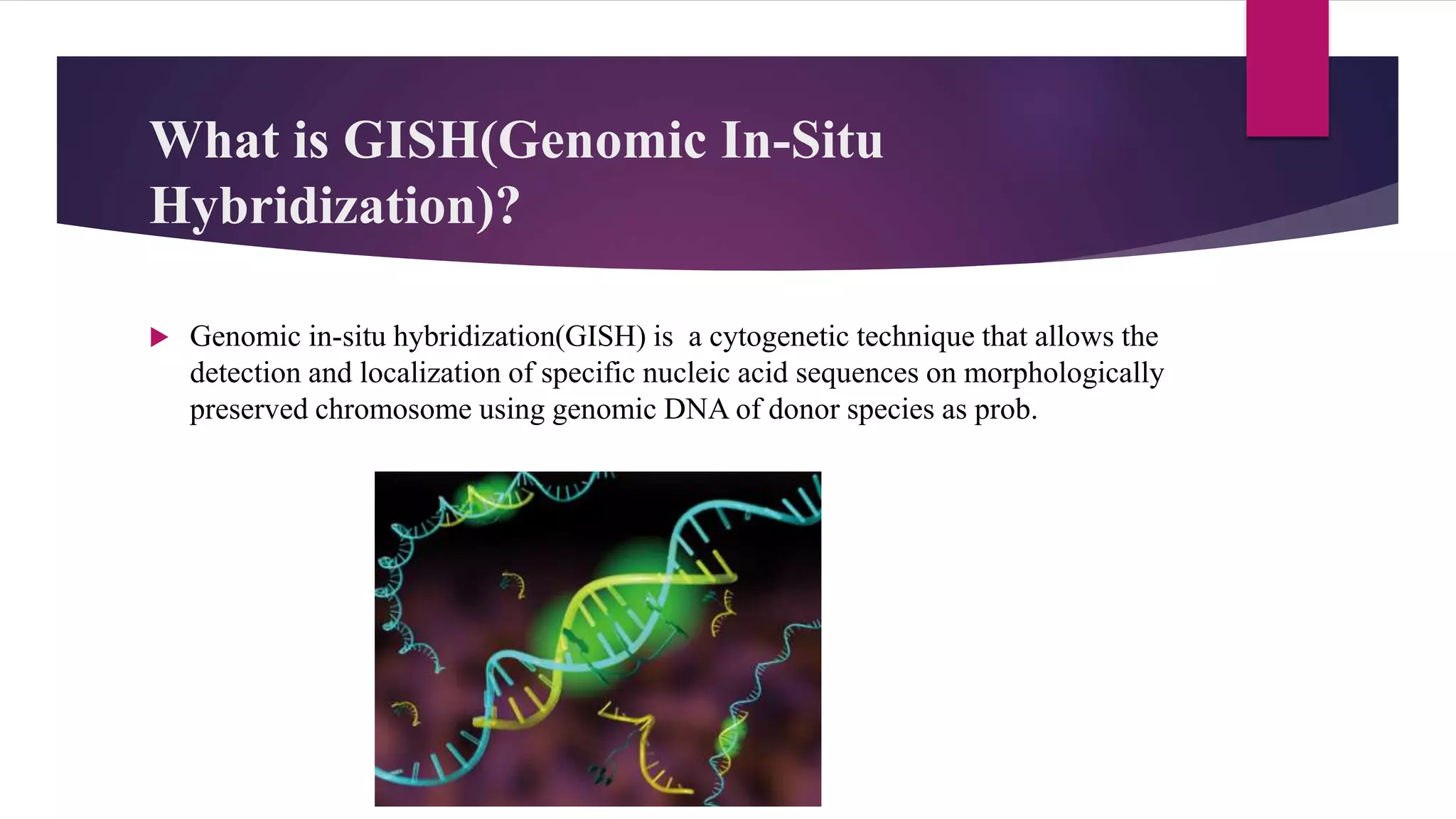 Genomic in-situ hybridization (GISH) | PPTX