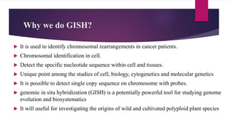 Genomic in-situ hybridization (GISH) | PPTX