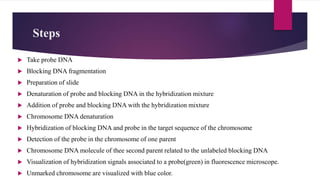 Genomic in-situ hybridization (GISH) | PPTX