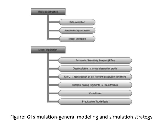 Gastrointestinal absorption simulation using in silico methodology; by ...