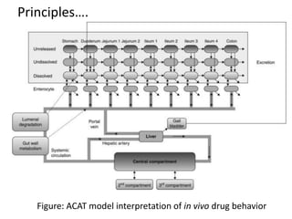 Gastrointestinal absorption simulation using in silico methodology; by ...