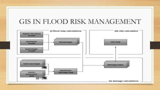 Gis in disaster managemant | PPTX