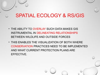 use of gis and remote sensing in wildlife and forestry | PPT