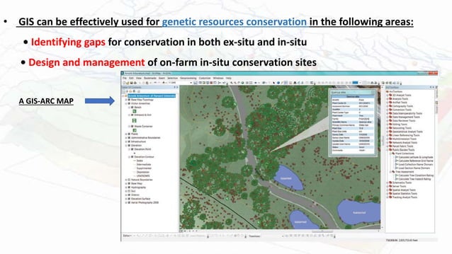 GIS presentation.pptx