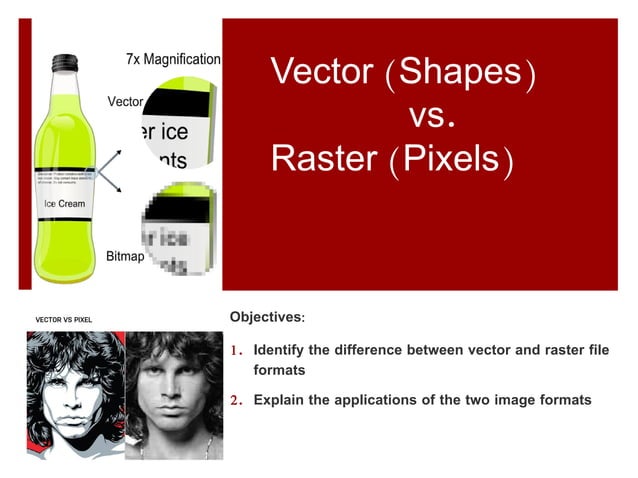 GIS Raster vs Vector for Forestry Class.pdf