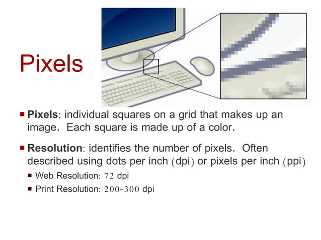 GIS Raster vs Vector for Forestry Class.pdf