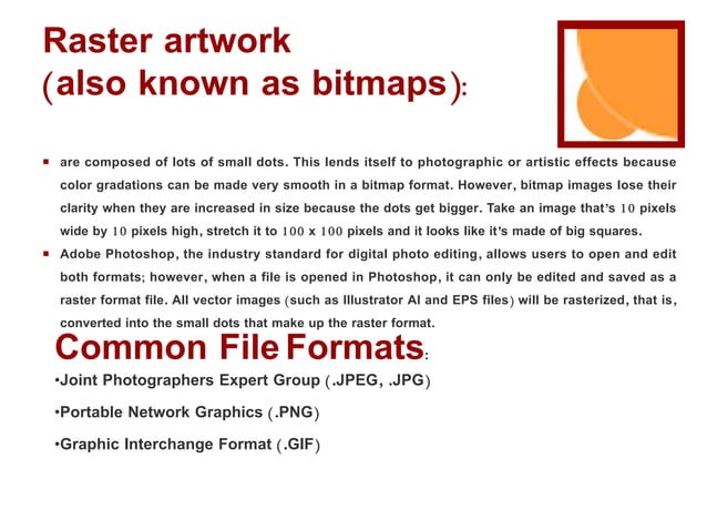 GIS Raster vs Vector for Forestry Class.pdf