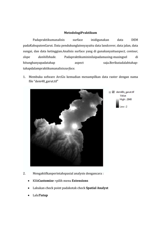 Gis (surface analysis) | DOCX