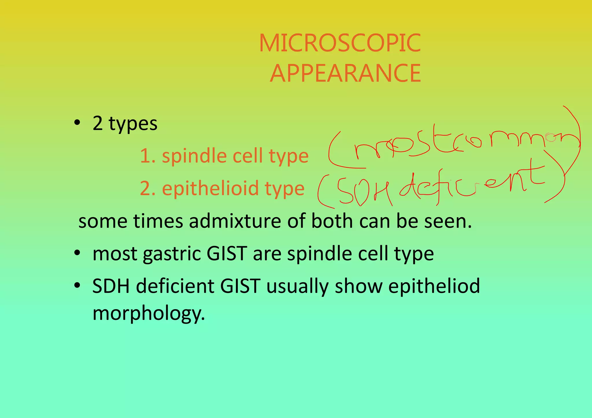 Gastro intestinal stromal tumor(GIST)-PATHOLOGY | PPTX