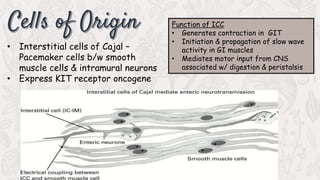 GIST | PPTX