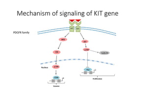 Gastrointestinal Stromal Tumor- Introduction and management.pptx