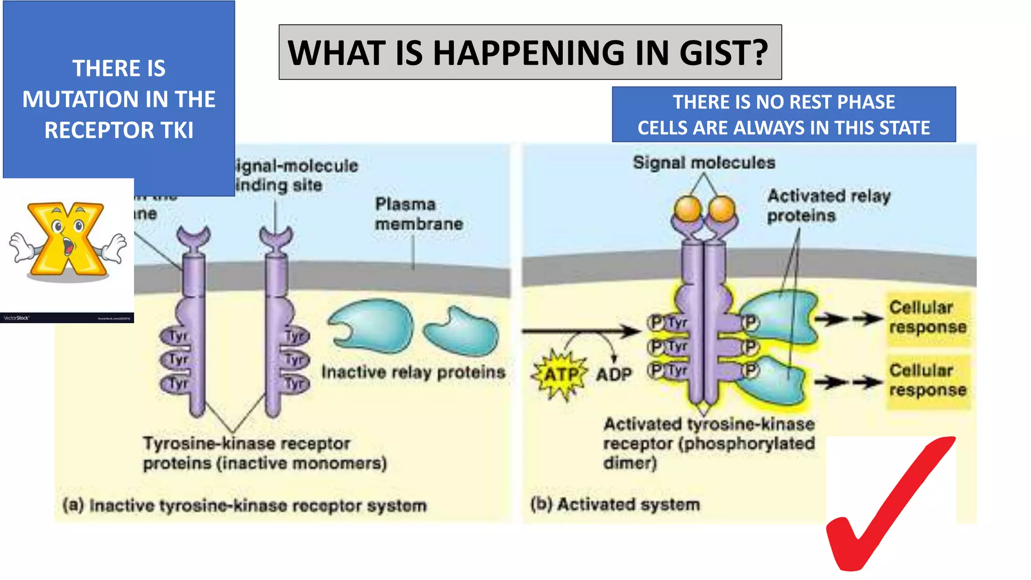 Gastrointestinal stromal tumors (GIST).pptx