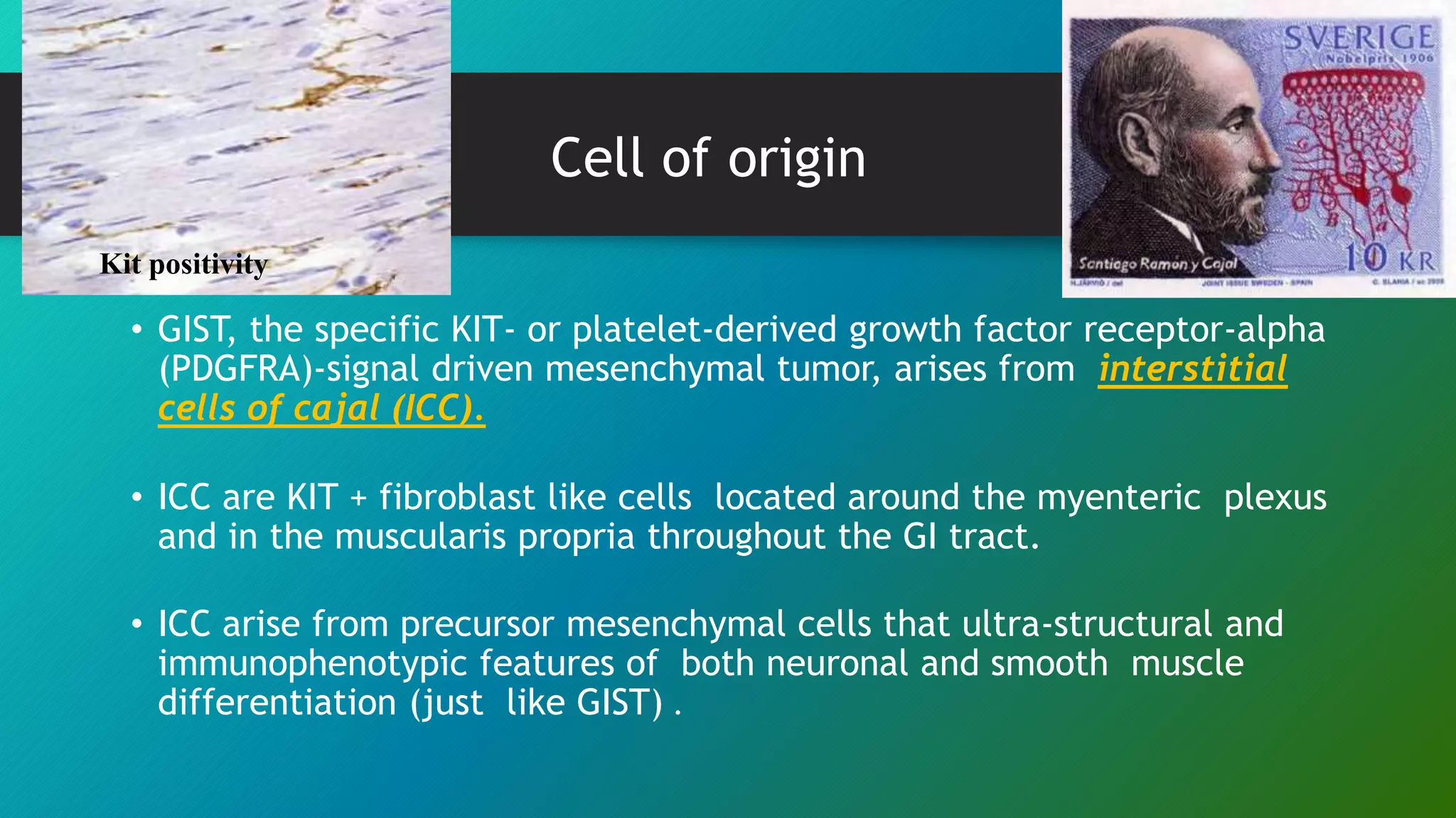 Gastrointerstinal stromal tumor (GIST) recent advances and differential ...