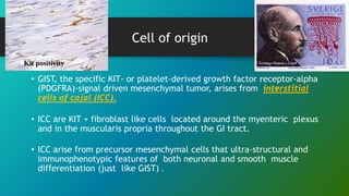 Gastrointerstinal stromal tumor (GIST) recent advances and differential ...