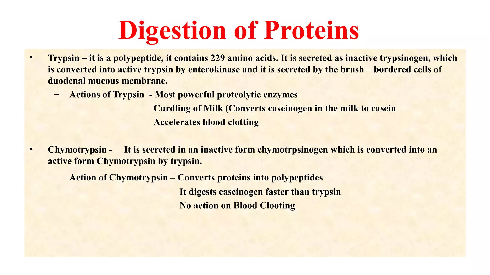 Physiology of Digestive System | PPT