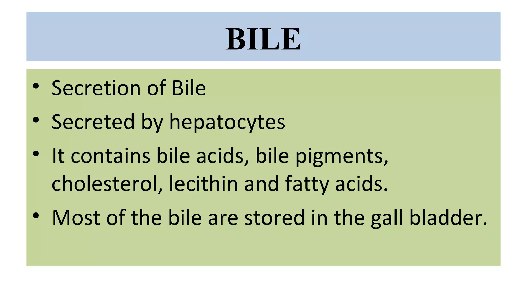 Physiology of Digestive System | PPT