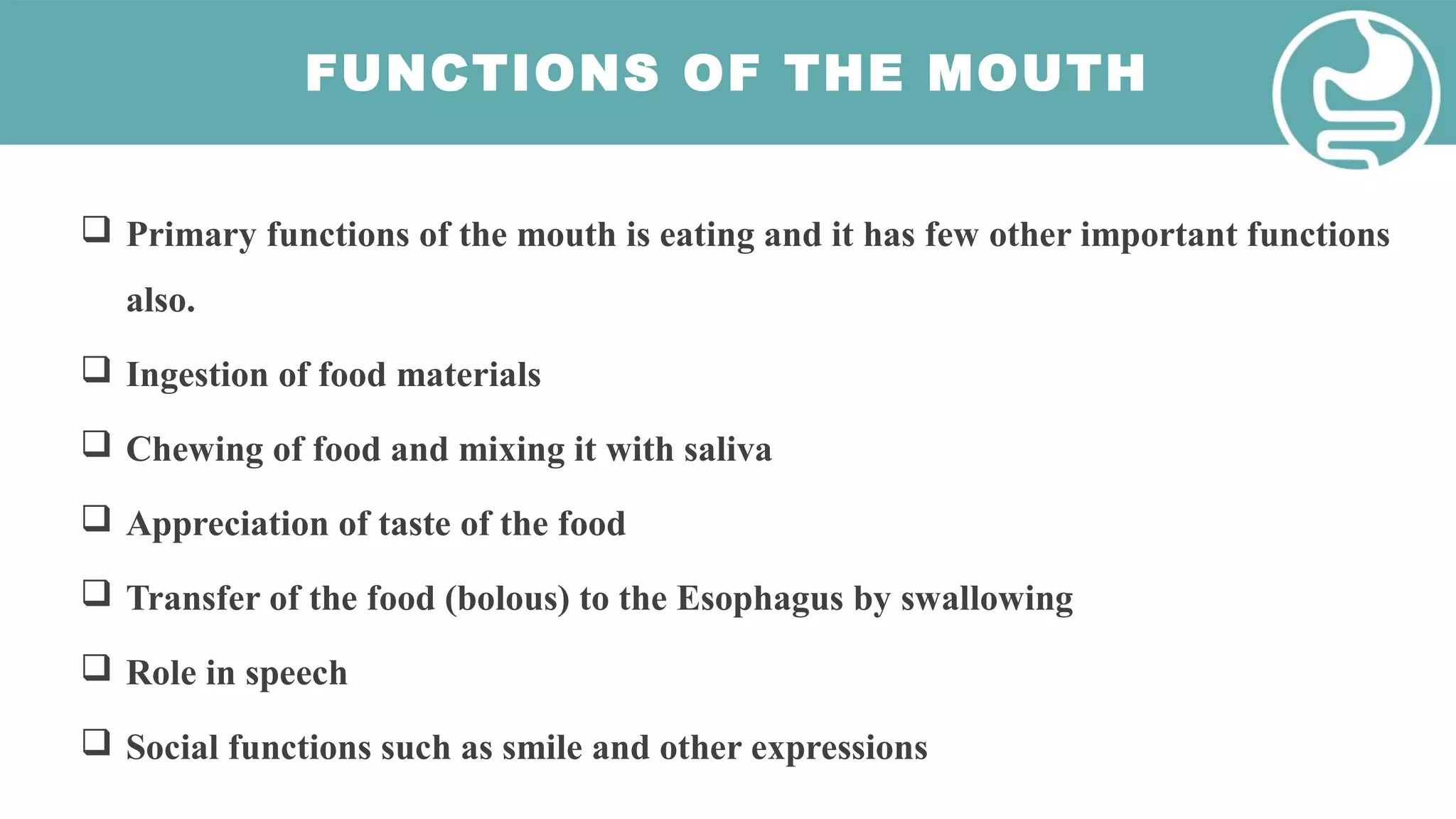 Physiology of Digestive System | PPT
