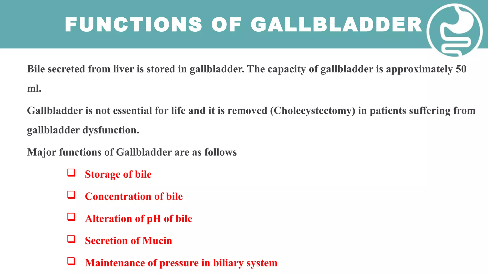 Physiology of Digestive System | PPT