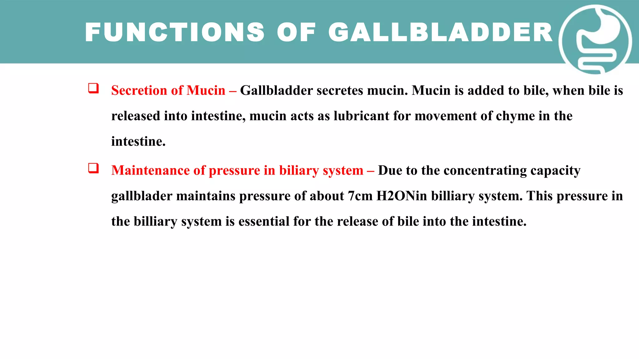 Physiology of Digestive System | PPT