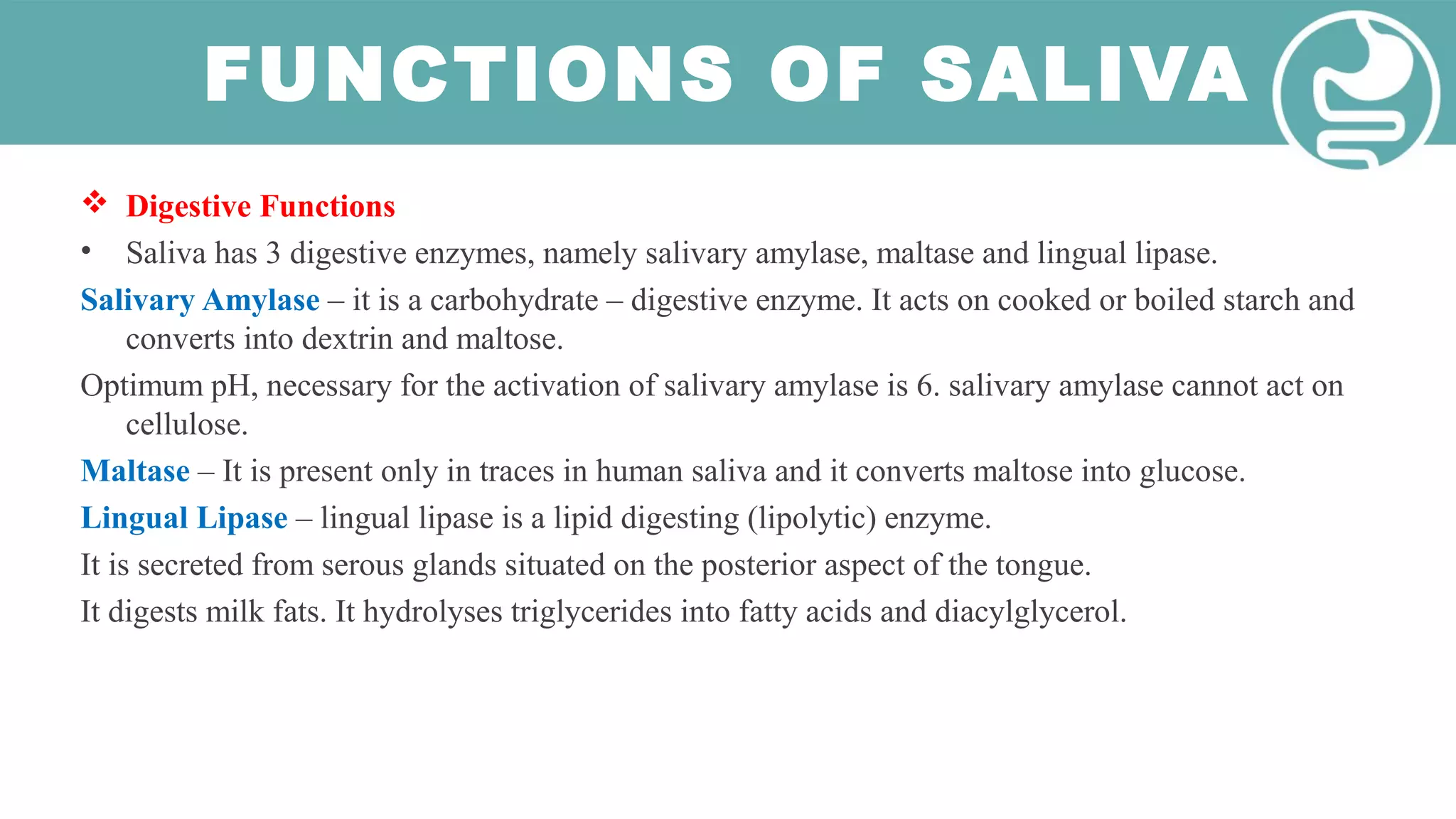 Physiology of Digestive System | PPT