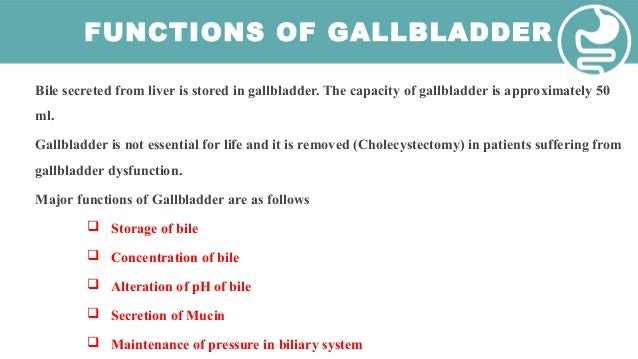 Physiology of Digestive System