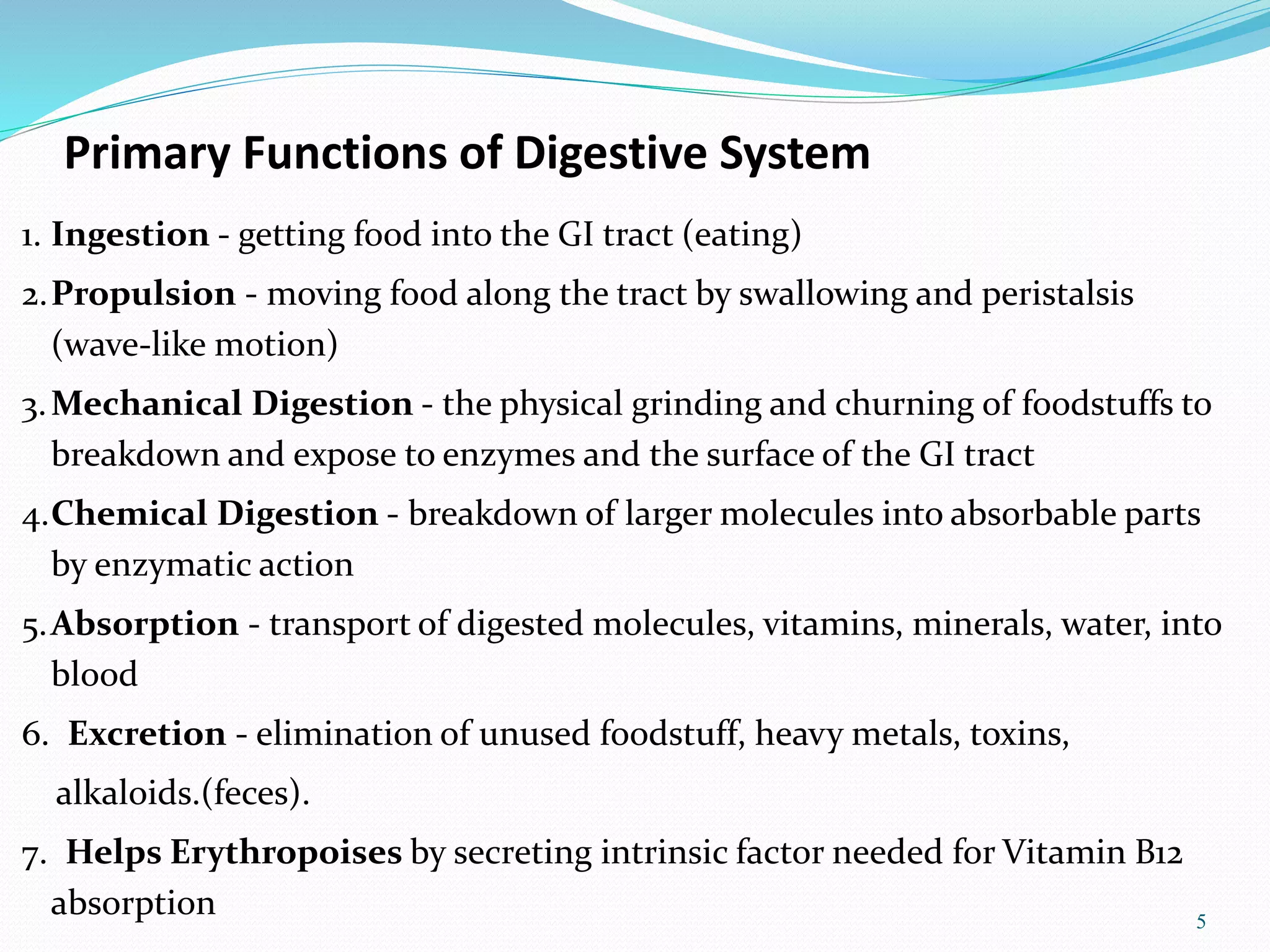 Introduction to Git Physiology | PPT