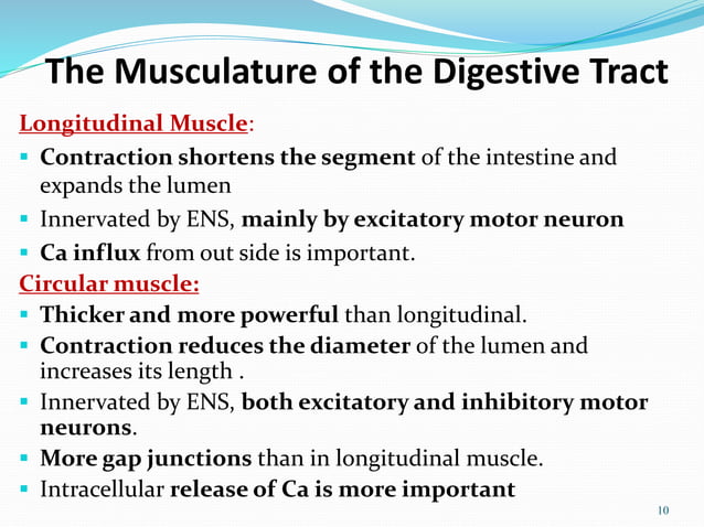 Introduction to Git Physiology | PPT