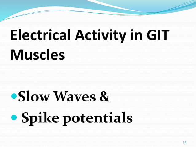 Introduction to Git Physiology | PPT