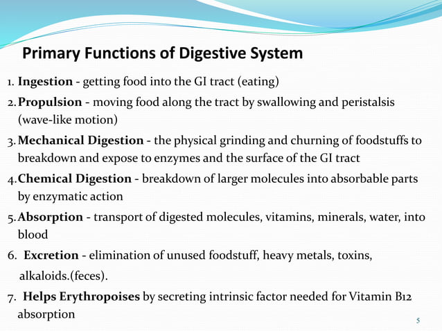 Introduction to Git Physiology | PPT