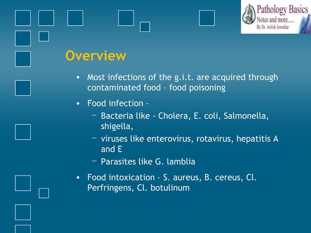 Gastrointestinal infections - bacteriology | PPT | Digestive Disorders ...