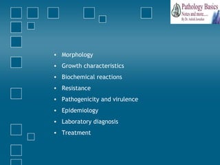 Gastrointestinal infections - bacteriology | PPT