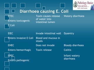 Gastrointestinal infections - bacteriology | PPT