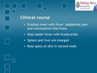 Gastrointestinal infections - bacteriology | PPT