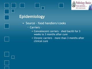 Gastrointestinal infections - bacteriology | PPT