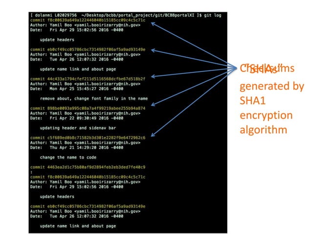 Introduction to Git and GitHub | PPTX | Operating Systems | Computer ...