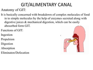 GASTRO-INTESTIAL TRACT/ALIMENTARY CANAL | PPTX