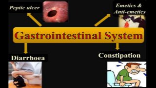 Gastro-intestinal Pharmacology | PPT
